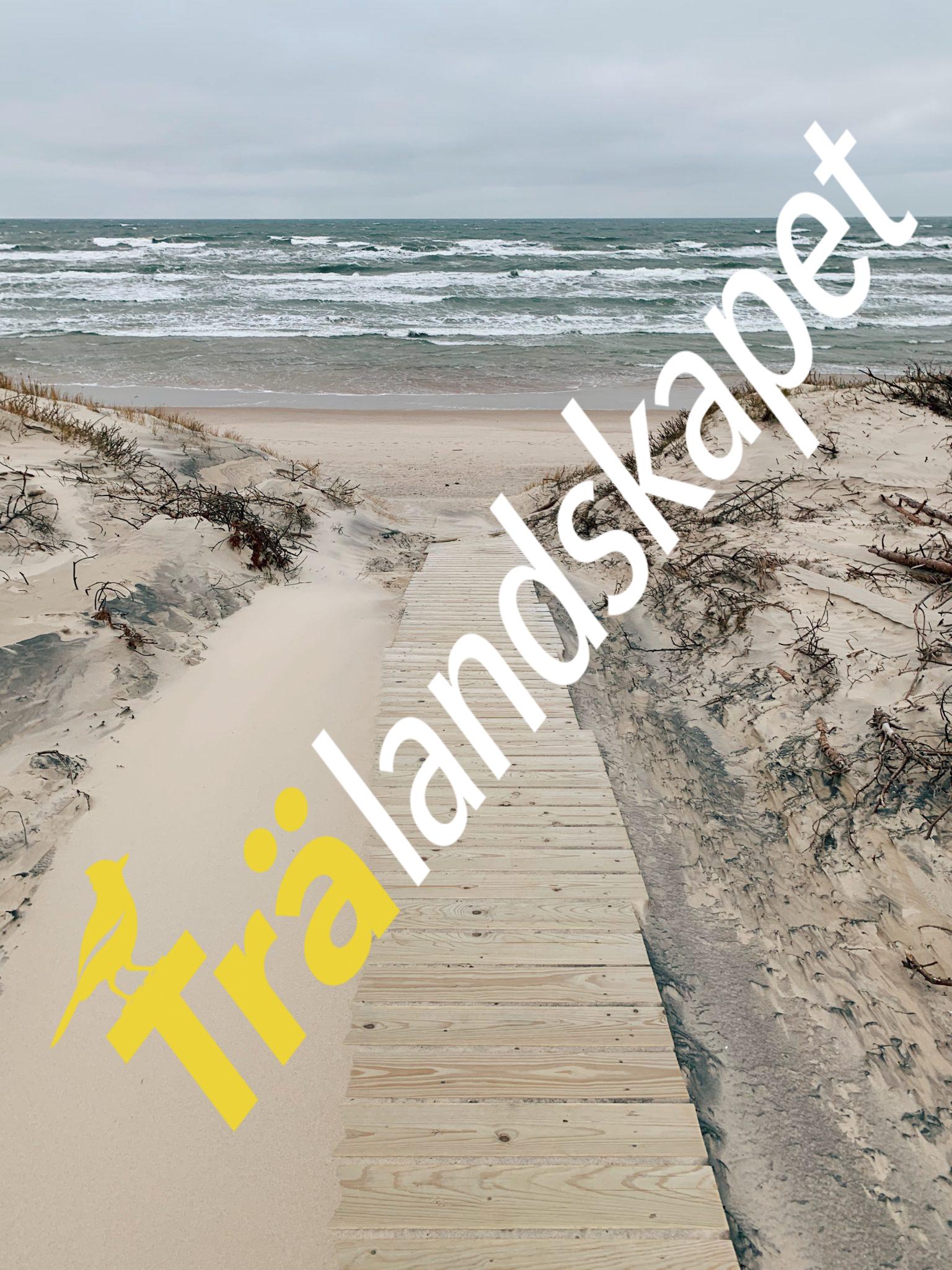 Camping & Strand - Trälandskapet