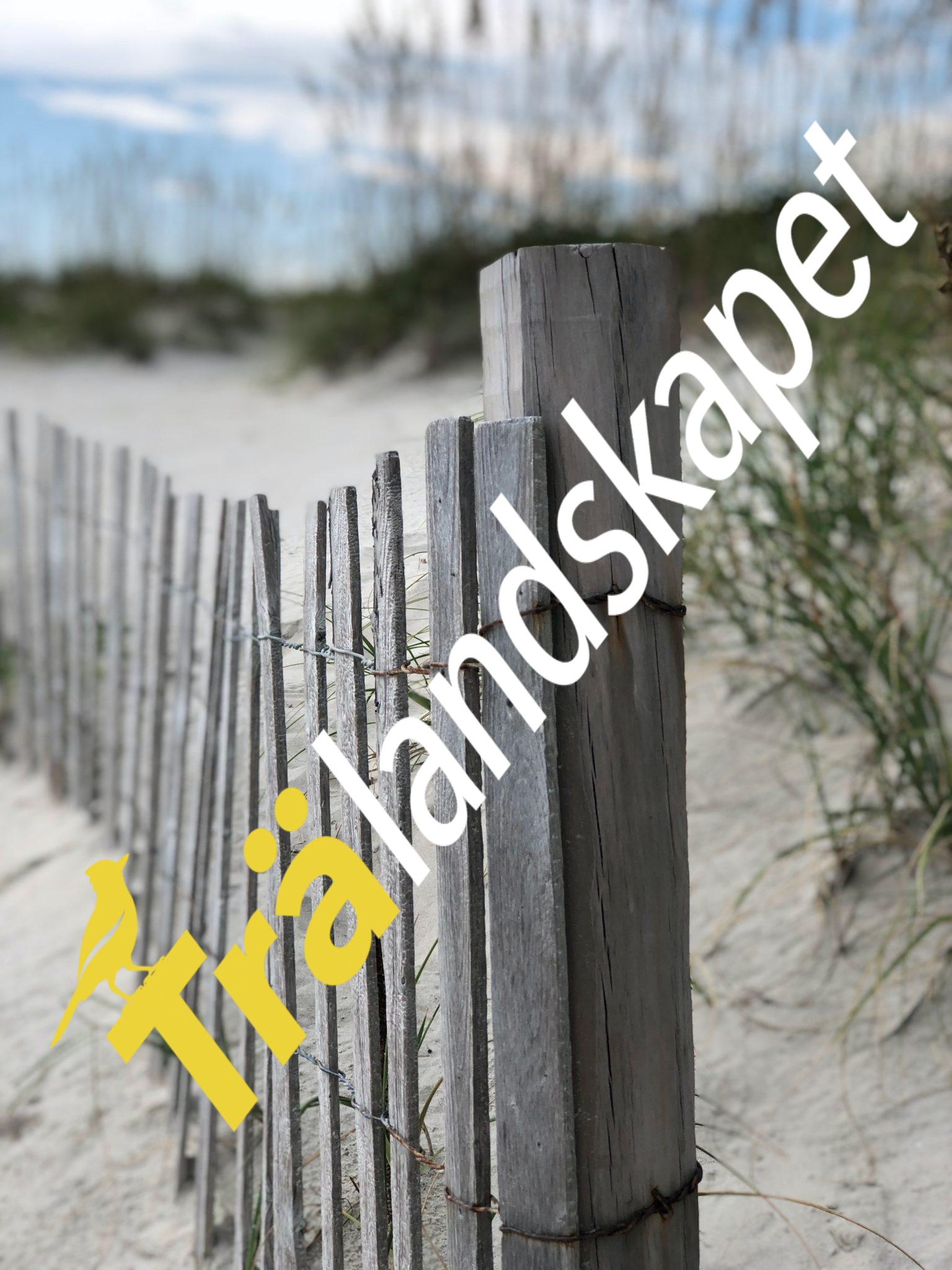 Camping & Strand - Trälandskapet